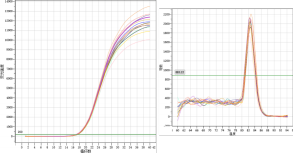 HyScript IV RT All-in-One SuperMix for qPCR (+dsDNase)